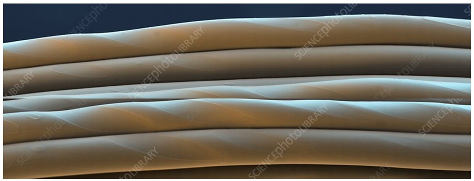 Textile Solutions Professional Ltd.